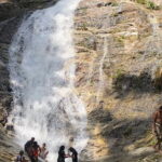 2 Days Cameron Highlands, Batu Caves & Kuala Selangor Fireflies Tour - Highlights of Day 1: Cameron Highlands & Batu Caves