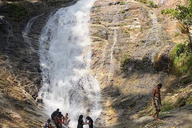 2 Days Cameron Highlands, Batu Caves & Kuala Selangor Fireflies Tour - Highlights of Day 1: Cameron Highlands & Batu Caves