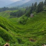 2-Days Guilin Tour Including the 4 Star Boat and Yangshuo and Longji Terraces - Analyzing the Tour’s Value