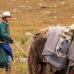 2 days horse trek in Naiman nuur and the central part of Mongolia 8 days - The Experience: What Travelers Will Love (And What to Consider)