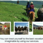 2 Days Kharkhorin ancient capital city and Khustai National Park - Who Will Enjoy This Tour?