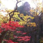 2-days: Mt Seorak, East Sea(Naksansa) & Nami or Ulsanbawi Hiking - What Travelers Say