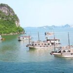 2 Days Overnight on Aura Cruise Cruise Ha Long - A Closer Look at the Itinerary
