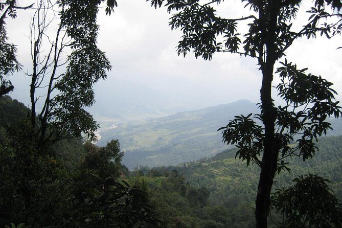 2 Days Panchase Hill Trekking - The Itinerary in Detail: What to Expect