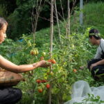 2-Days Private Tour in Izumo, Japan - Who Will Appreciate This Tour?