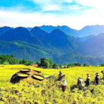 2 Days Pu Luong Nature Retreat - Highlights of the Tour Experience