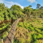 2 Days Tour in Cat Tien National Park - Practical Tips for Your Trip