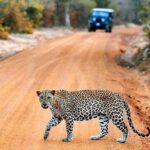 2 Days Tour of Double Safari (Yala & Udawalawe) - All Inclusive - Detailed Breakdown of the Itinerary