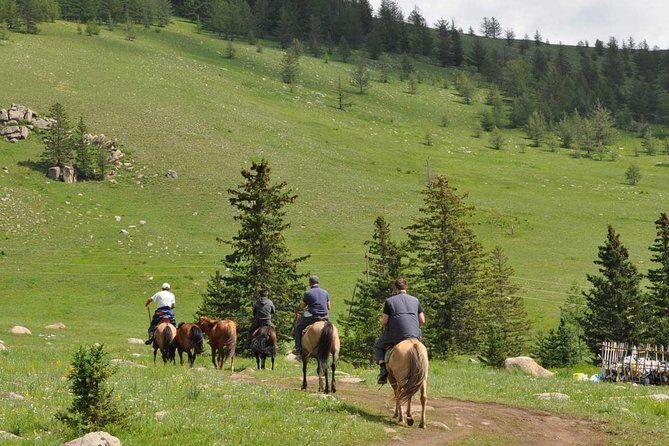 2 Days Tour: Terelj National Park And Chinggis Statue - Day 1: From Ulaanbaatar to the Genghis Khan Statue Complex