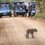 2 Days Tour to Galle & Udawalawe National Park - Final Thoughts on the Tour