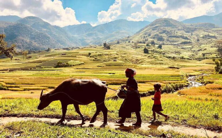 2 Days Trekking and Motorbike Tour in Mu Cang Chai - How the Tour Matters for You
