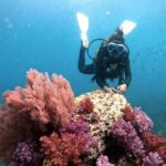 2 Fun Divers for Certified Divers in Thailand - The Real Value: Why This Tour Stands Out