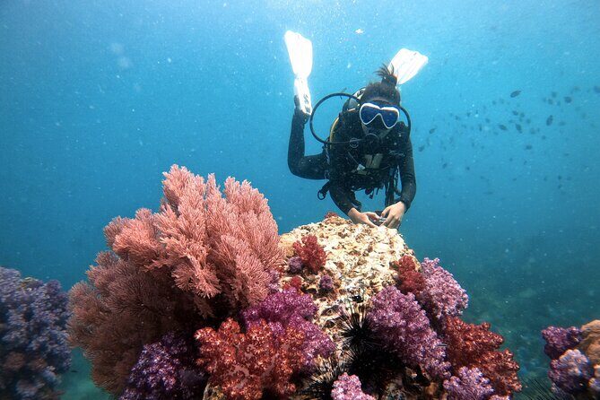 2 Fun Divers for Certified Divers in Thailand - The Real Value: Why This Tour Stands Out