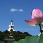 2-Hour Beijing Private Jingshan Coal Hill Park and Beihai Park Walking Tour - What You’ll Experience: Practicalities and Highlights