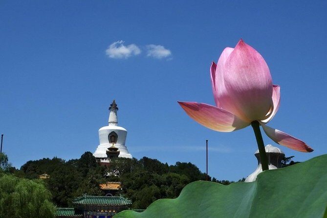 2-Hour Beijing Private Jingshan Coal Hill Park and Beihai Park Walking Tour - What You’ll Experience: Practicalities and Highlights