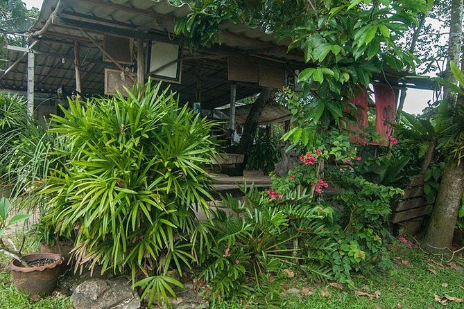 2 Hour Horse Riding Tour On The Beach Krabi - Who Is This Tour Best For?