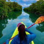 2 Hour Key West Kayak Rental  Discover Mangroves & Wildlife! - Practical Details: What You Need To Know