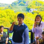 2-Hour Private Tea plantation tour in Hangzhou China - The Value for Your Money