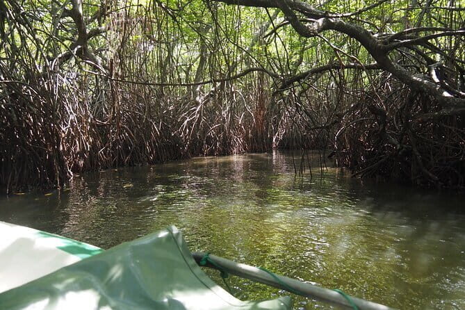 2 hours private Madu River Safari - How Good is the Value?