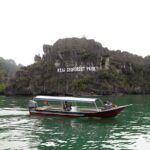 2 Hours Private Mangrove Tour Langkawi - What to Expect from Your Guide and the Experience