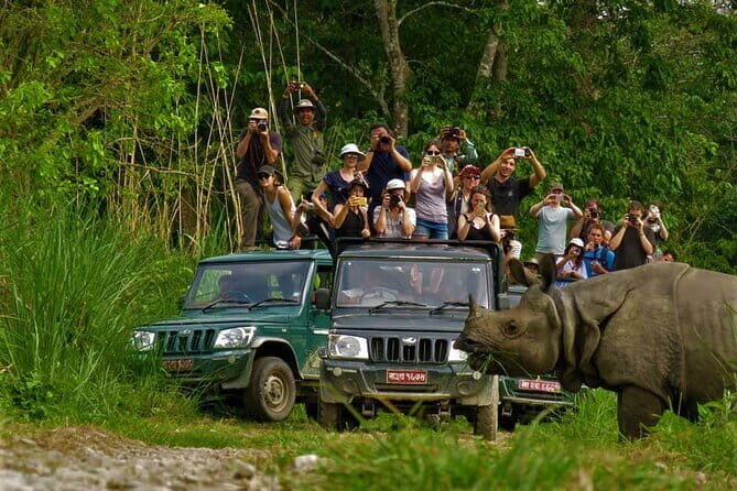 2 Night 3 Day Chitwan Jungle Safari Tour from Pokhara - Why the Tour Offers Value