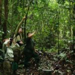 2-Night Danum Valley Borneo Rainforest Lodge Hiking and Wildlife Adventure - Day 2: Deep Forest Treks and River Relaxation