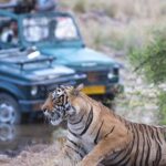 2-Night Private Ranthambore National Park and Wildlife Tour from Delhi - Practical Aspects and Considerations