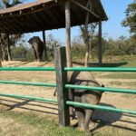 2 Nights 3 Days Chitwan Jungle Safari Tour - Who Would Appreciate This Tour?