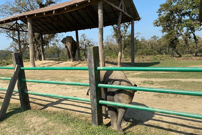 2 Nights 3 Days Chitwan Jungle Safari Tour - Who Would Appreciate This Tour?