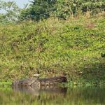 2 Nights 3 Days Chitwan Safari Tour from Kathmandu or Pokhara - The Value of Whats Included