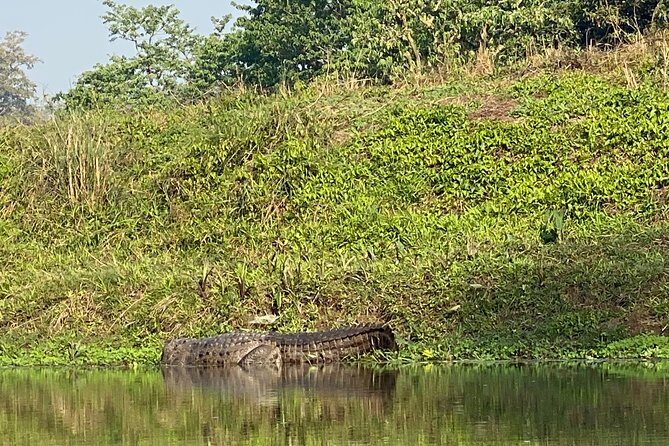 2 Nights 3 Days Chitwan Safari Tour from Kathmandu or Pokhara - The Value of Whats Included