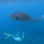 2 Spots Snorkeling Tour with Manta Rays point in Nusa Penida - What’s Included and What You Should Consider