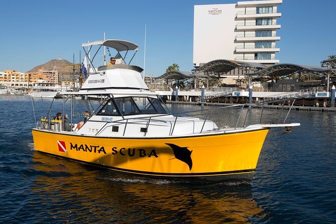 2 Tank Combo Cabo Reserve & Corridor, certified divers with MANTA - Final Thoughts: Is This Tour Right for You?