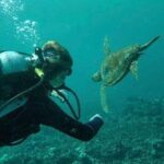 2 Tank Shore Dive at Sea Turtle Cove - Who Will Love This Tour?
