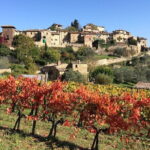 2 wineries Chianti Wine Tasting & Vineyards Walk Private Tour - A Detailed Look at the Experience