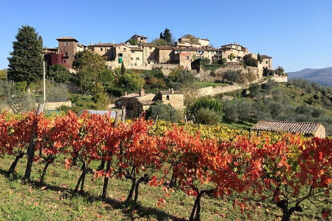 2 wineries Chianti Wine Tasting & Vineyards Walk Private Tour - A Detailed Look at the Experience