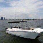 27ft Miami Catamaran for Groups and Parties - Discovering Miami from the Water