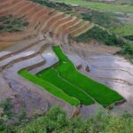 2D1N Buffalo trek by Hmong Sister House and Trekking - The Itinerary in Detail: What You Can Expect