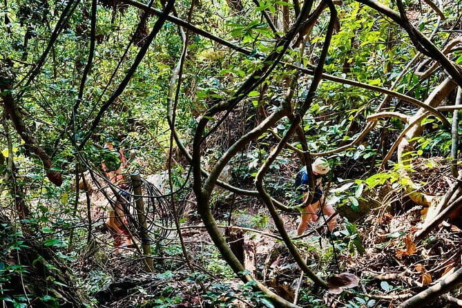 2D1N Discover the Wonders of Cat Ba National Park and Lan Ha Bay - An In-Depth Look at the 2D1N Tour in Vietnam’s Coastal Paradise