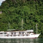 2D1N Ha Long Bay by Calypso Cruise - What Makes This Cruise Stand Out?