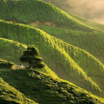 2D1N Malaysia Tour for Worldwide Guests - Who Will Love This Tour?