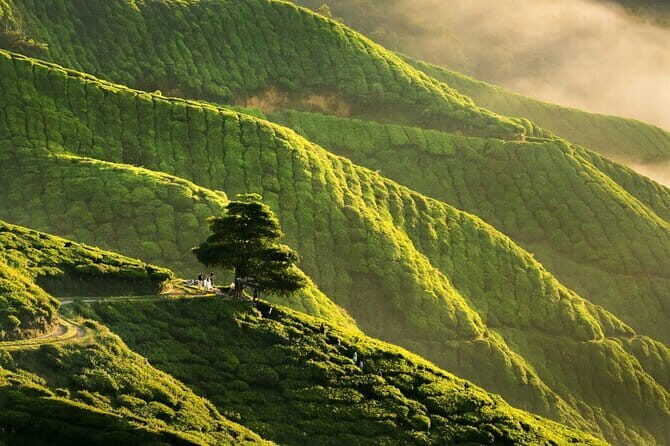 2D1N Malaysia Tour for Worldwide Guests - Who Will Love This Tour?