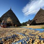 2Days - Cultural Tour to Wae Rebo Village - The Trek: Challenge and Reward