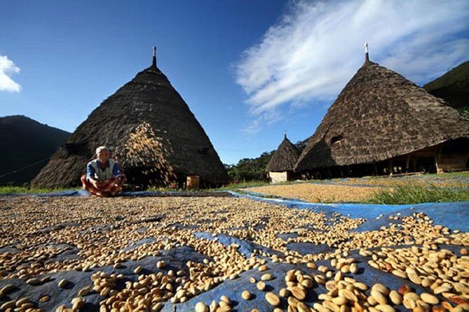 2Days - Cultural Tour to Wae Rebo Village - The Trek: Challenge and Reward