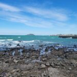 2Days Limousine Taxi Tour with Experienced driver in jeju island - FAQ