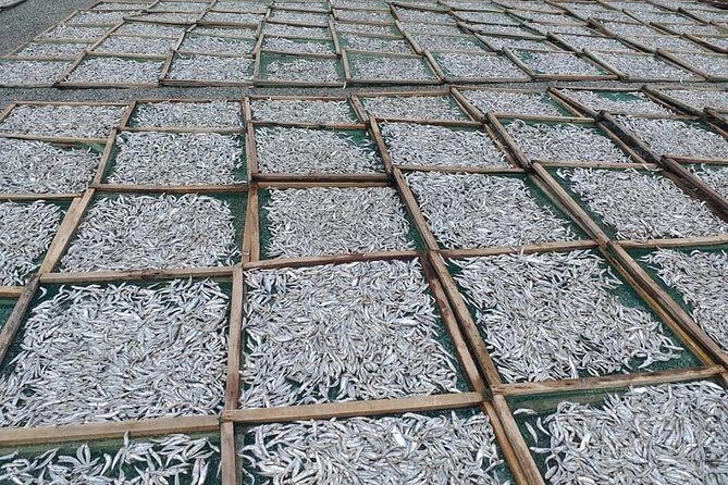 2days to Cat Tien park from Dalat/ Saigon - Key Points