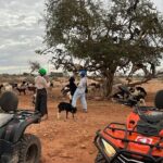 2Hours DE Quad + Comedy EN Tour and Crocoparc Tour - In-Depth Look at the Itinerary