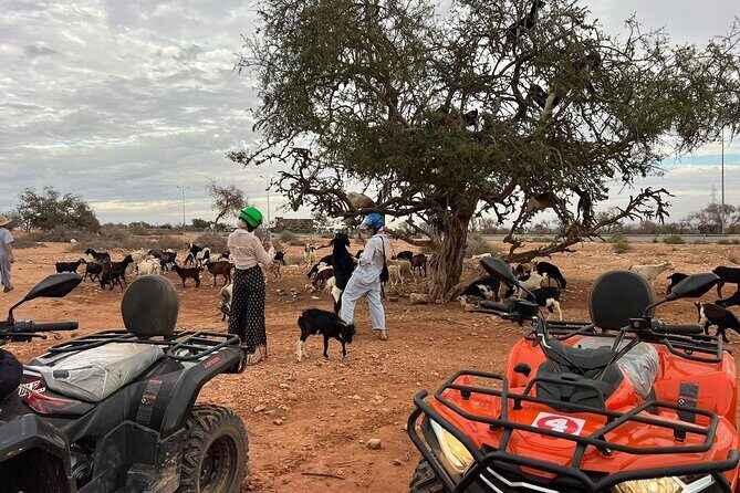 2Hours DE Quad + Comedy EN Tour and Crocoparc Tour - In-Depth Look at the Itinerary