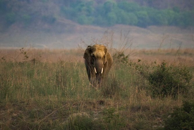 2N Jim Corbett National Park (Dhikala Zone) - Who Will Love This Tour?