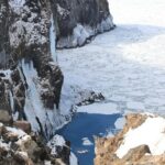 3.5hours Primeval Forest Snowshoe hike and Wildlife Watching Tour - Authenticity and the Guide’s Role